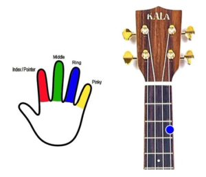 Basic Ukulele Chords for Beginners | Ukulelemad