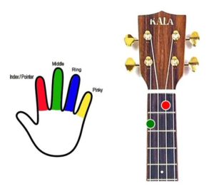 Basic Ukulele Chords for Beginners | Ukulelemad