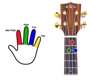 Basic Ukulele Chords for Beginners | Ukulelemad